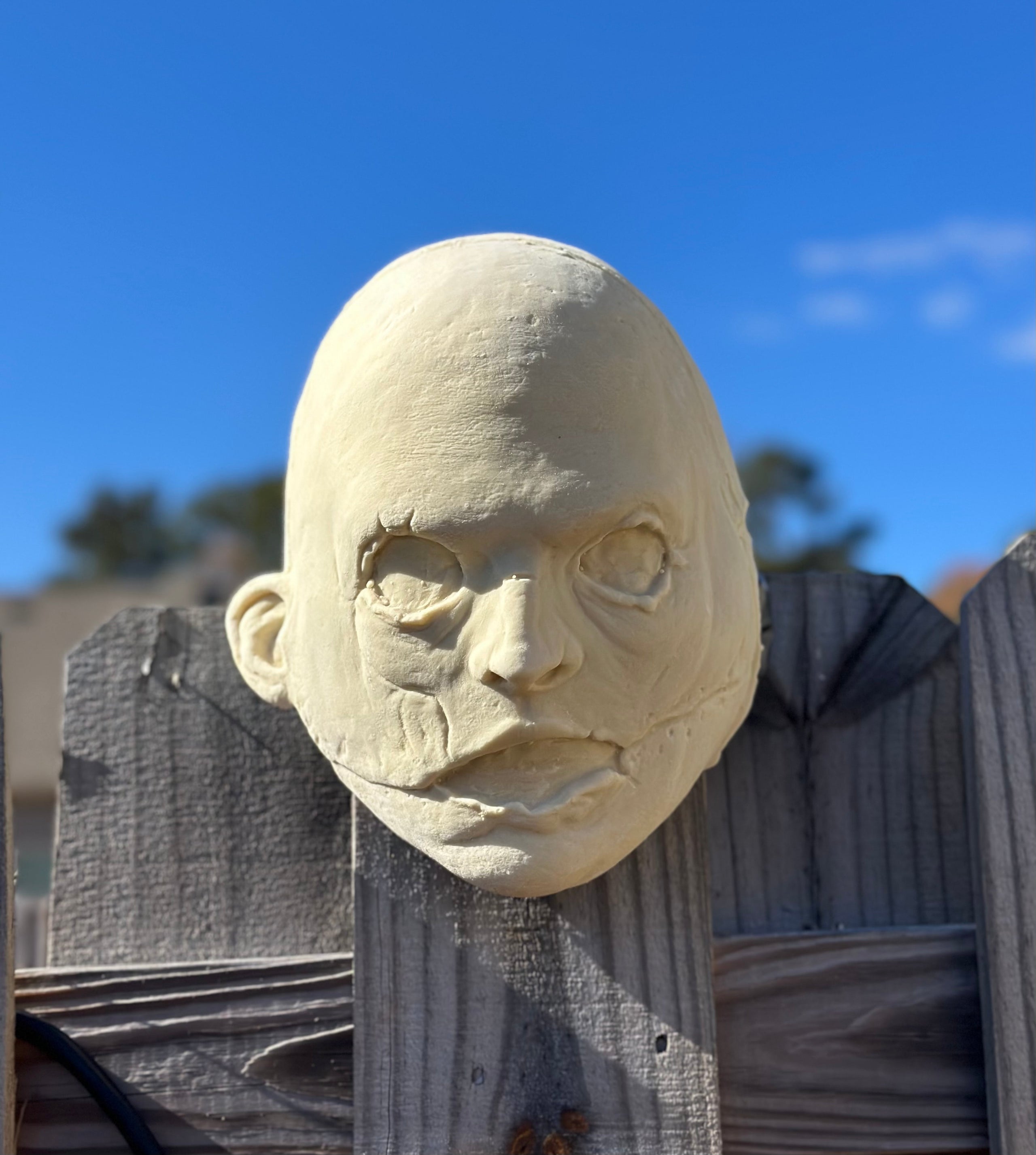 Premium latex blank | Addison Morarre Masks